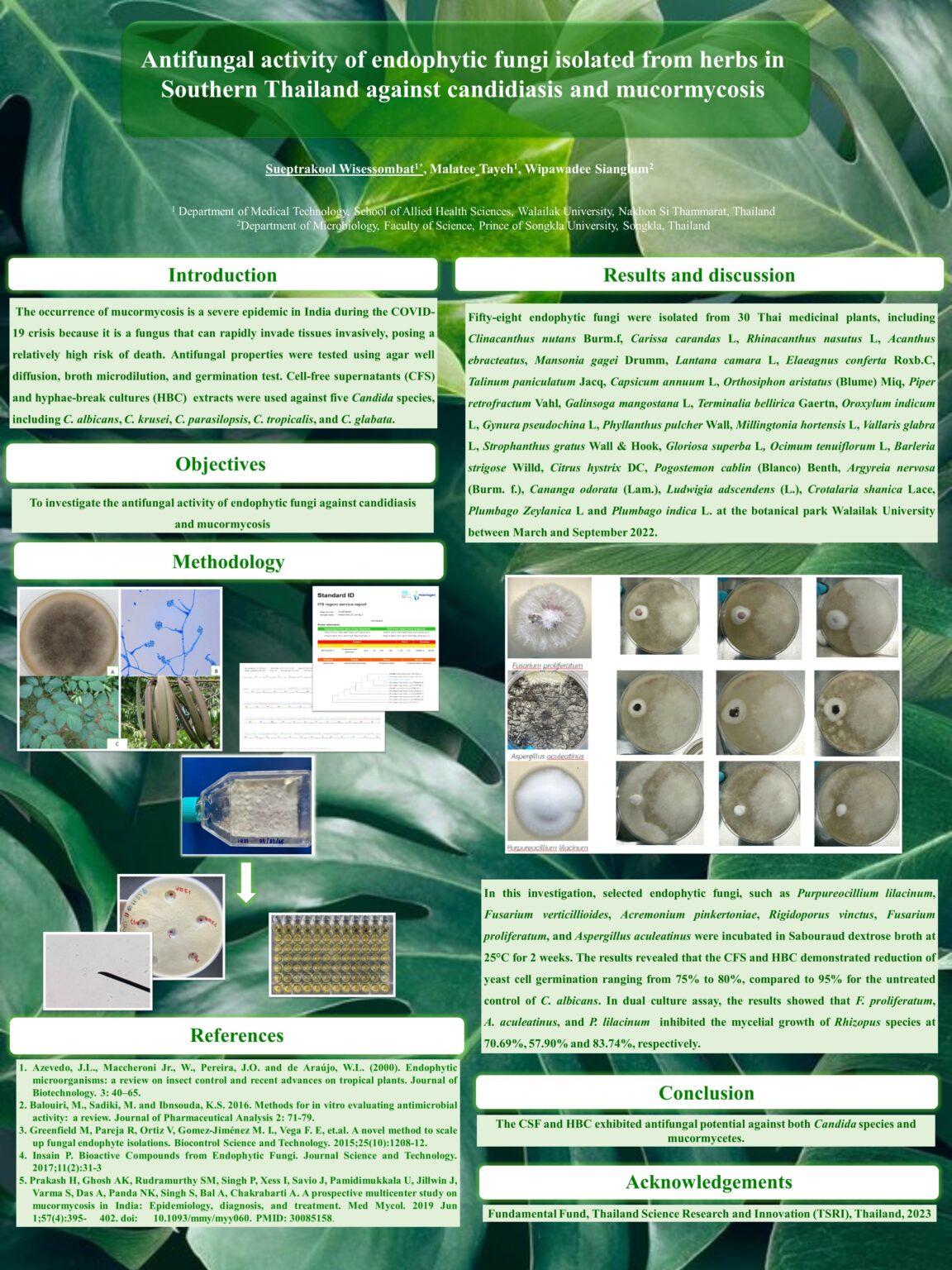 Antifungal activity of endophytic fungi isolated from herbs in Southern Thailand against ...